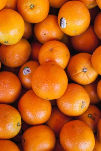 Can You Freeze Oranges? - Can You Freeze This?